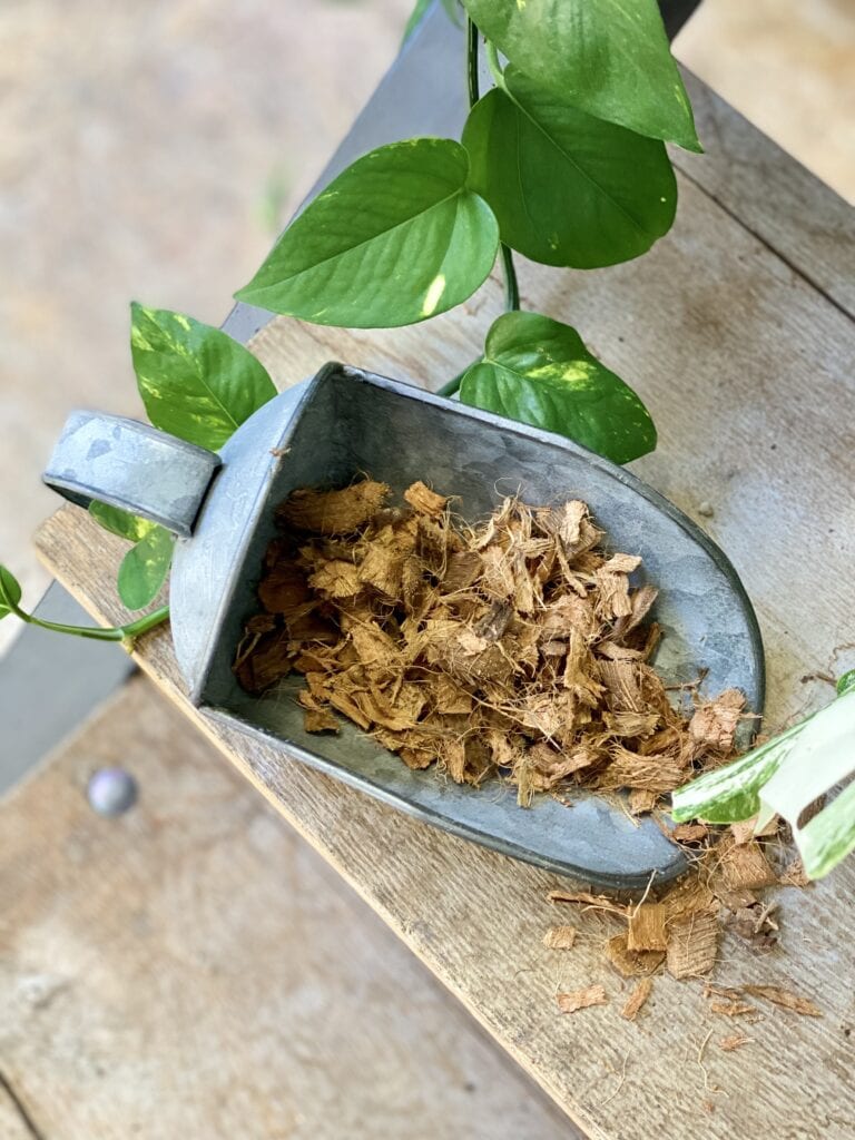 Czerpak Ib Laursen 20cm - Jungle Boogie