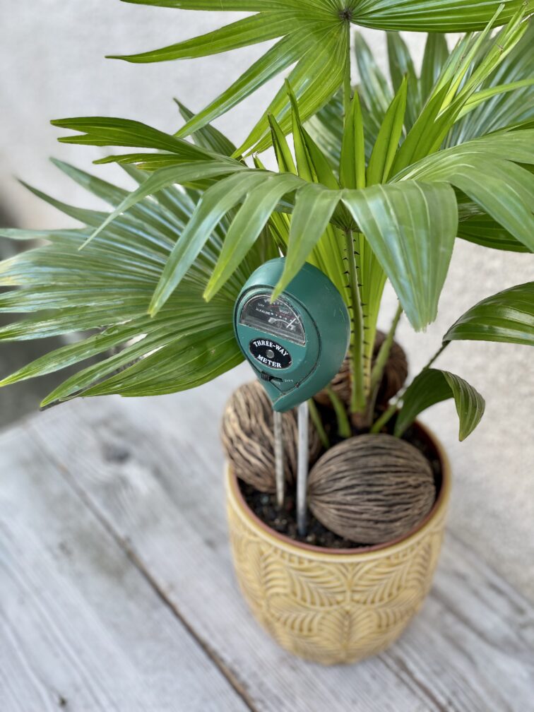 Higrometr 3w1 Glebowy - Jungle Boogie