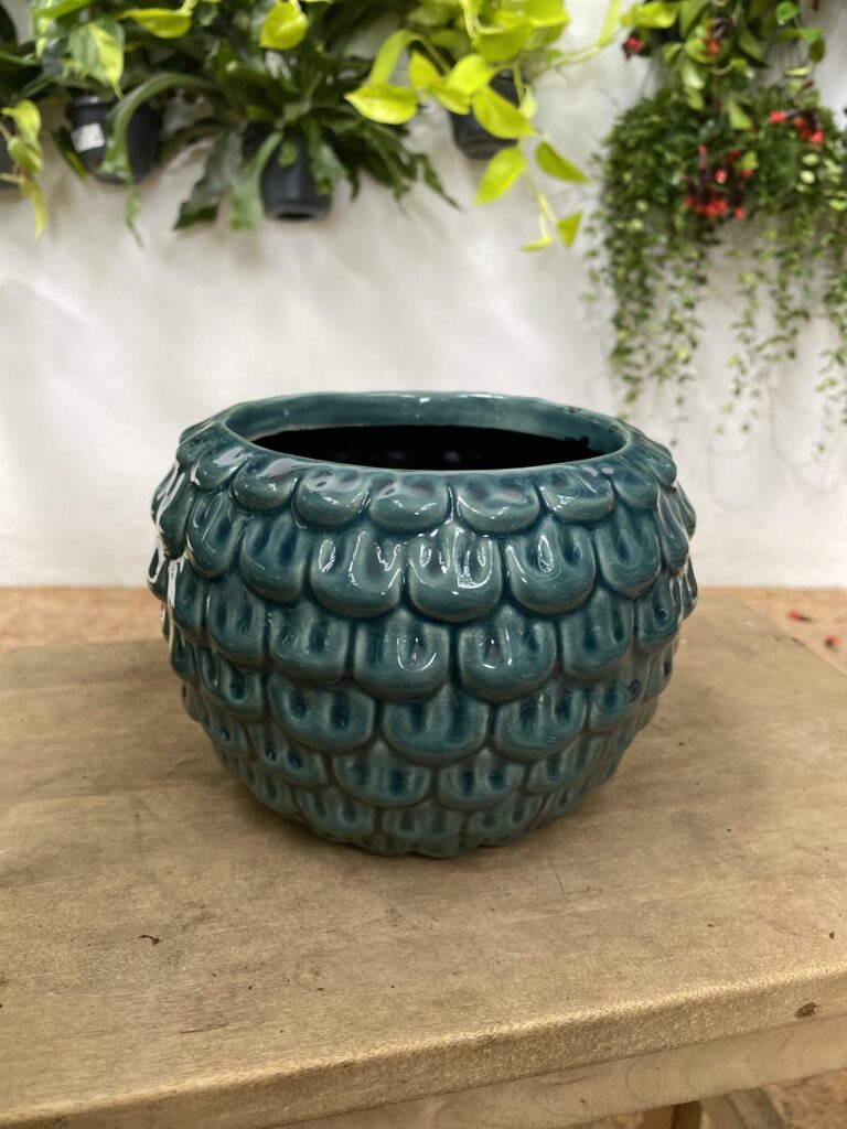 Osłonka Bombadil 12x12cm - Jungle Boogie