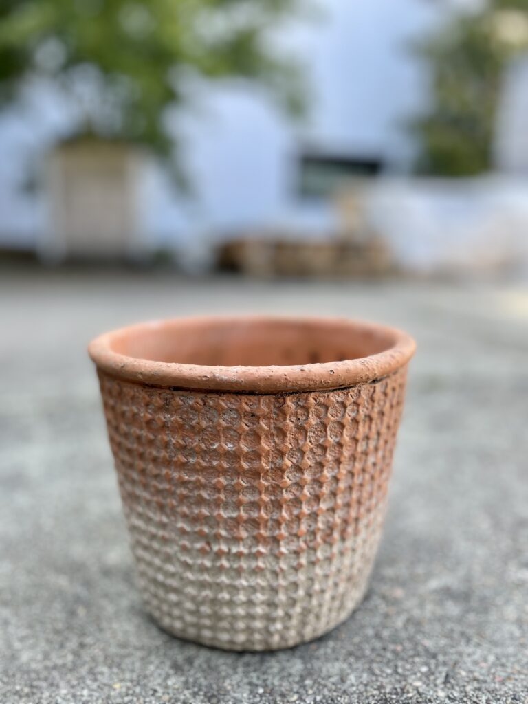 Osłonka Grid 15 × 15 cm - Jungle Boogie